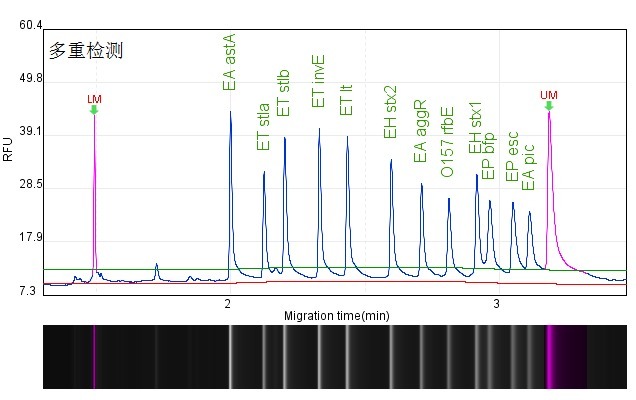 毛细管电泳在多重 PCR 分析中的应用