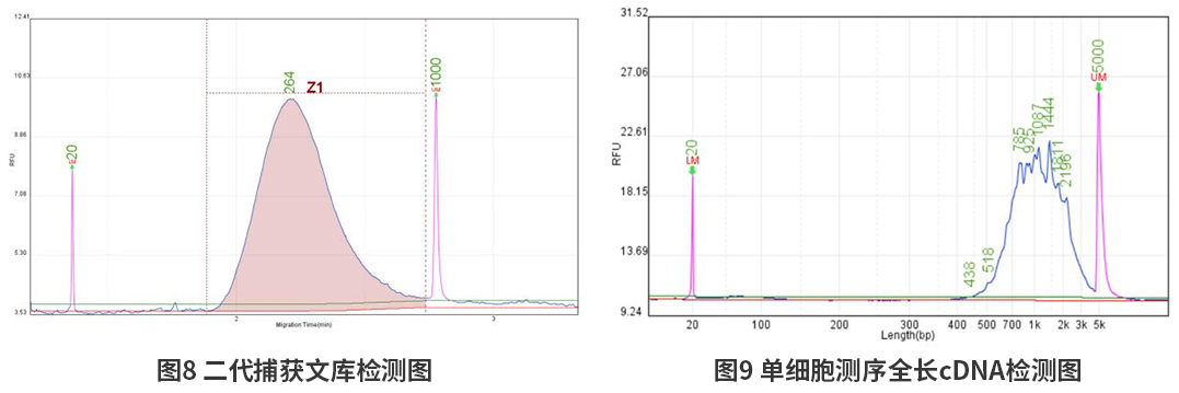 《转》明码头条 NEWS丨重磅！国产Qsep生物片段分析仪进驻广州实验室，助力测序质检环节