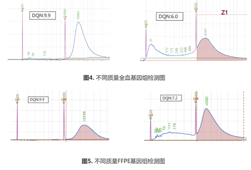《转》明码头条 NEWS丨重磅！国产Qsep生物片段分析仪进驻广州实验室，助力测序质检环节