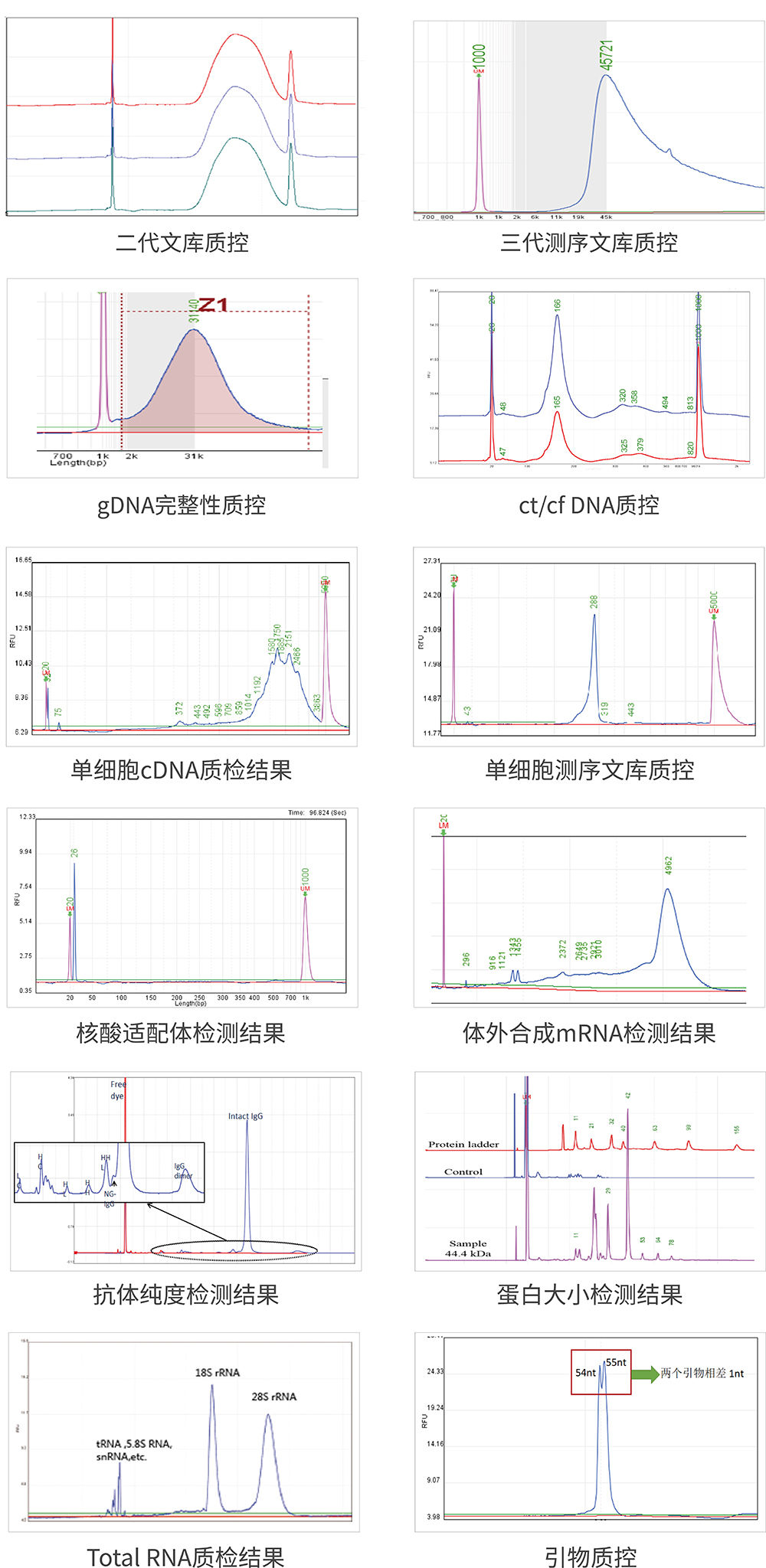 展会预告 | 中国西部科技创新港高等教育仪器设备展